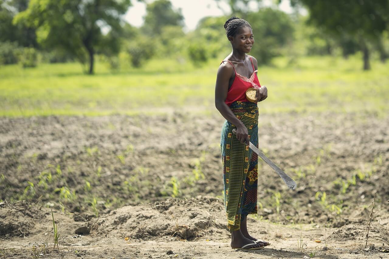Virtual Knowledge Share Fair for resilient agricultural livelihoods in ...